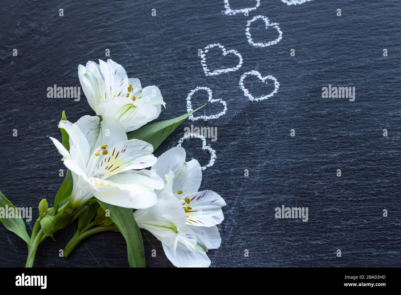 Lily on the incas hi-res stock photography and images - Alamy