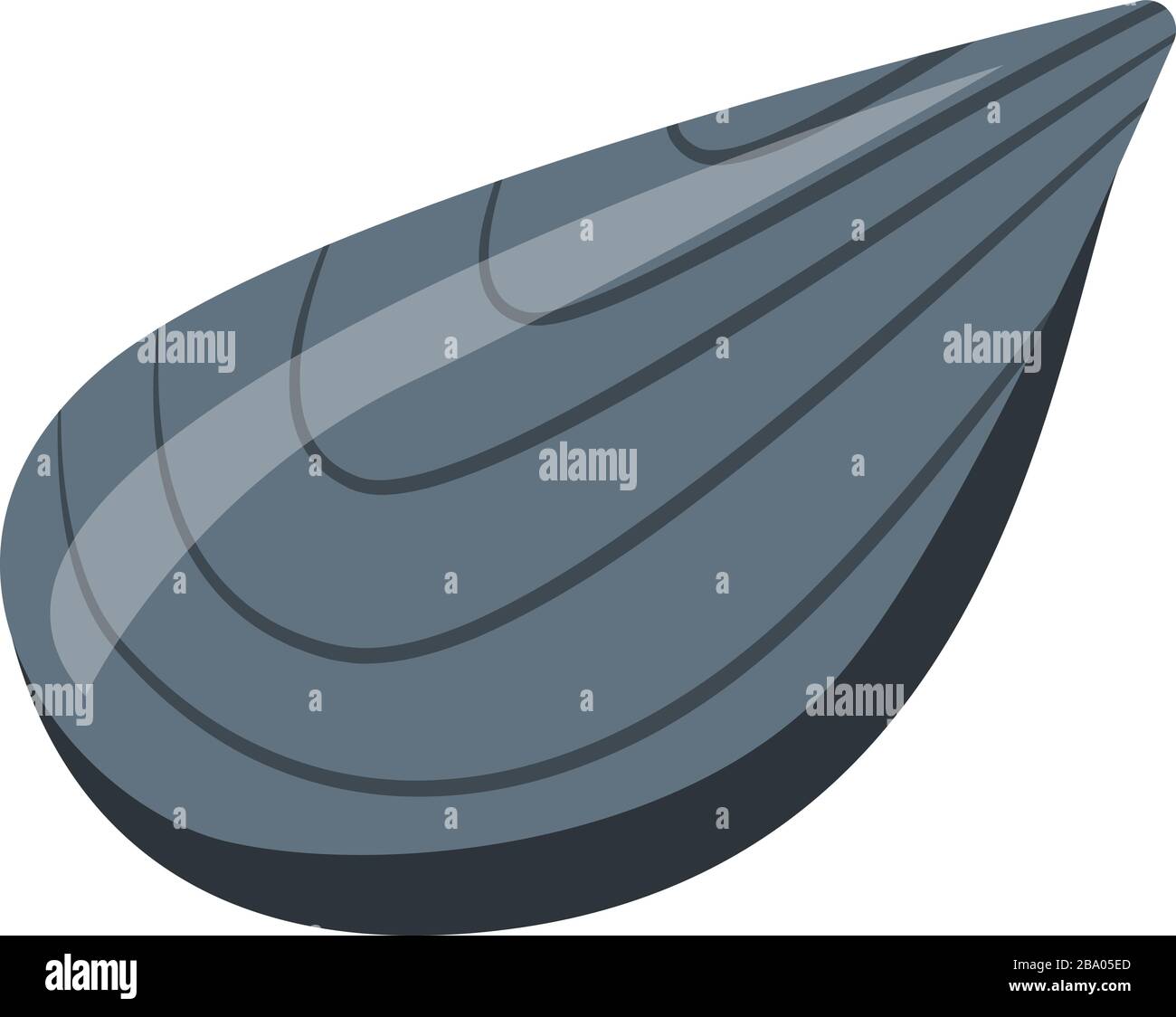 Freshwater clam mussel shell Stock Vector Images - Alamy