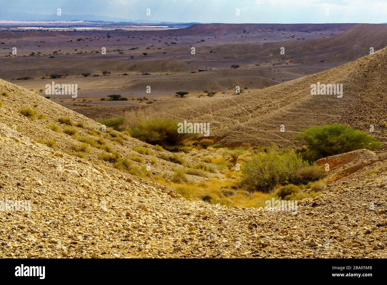 Desert landscape in the Sheizaf Nature Reserve, the Arava desert ...