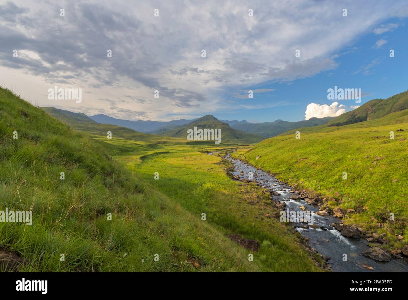 River in the valley Stock Photo - Alamy
