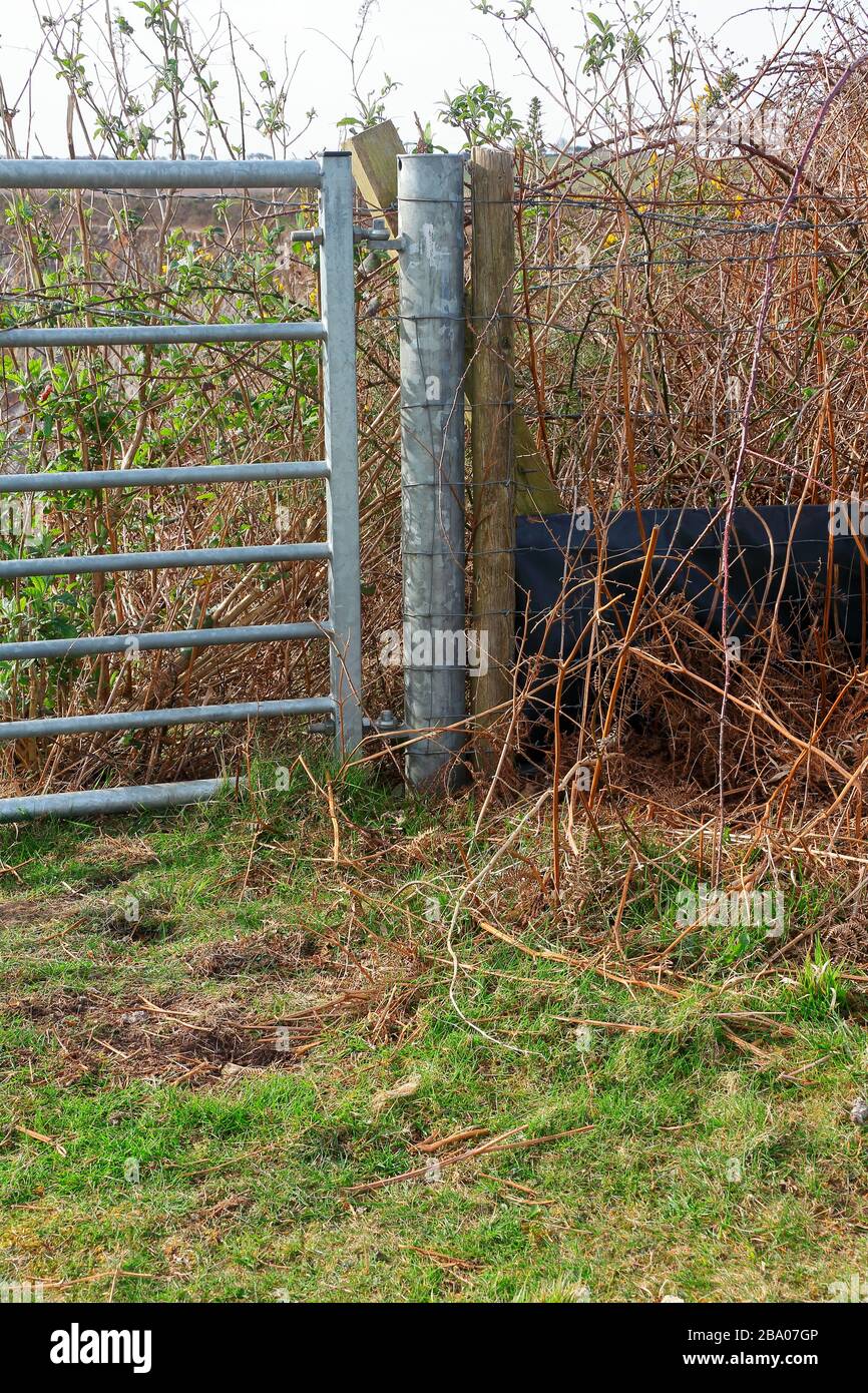 A nice conditioned seven bar Galvanised gate guarding the emergency ...
