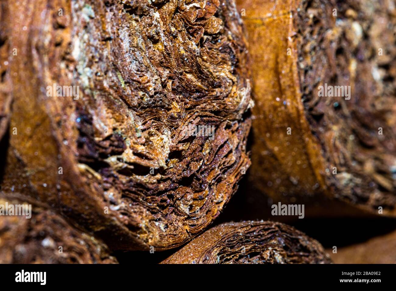 Cigar smoke hi-res stock photography and images - Alamy