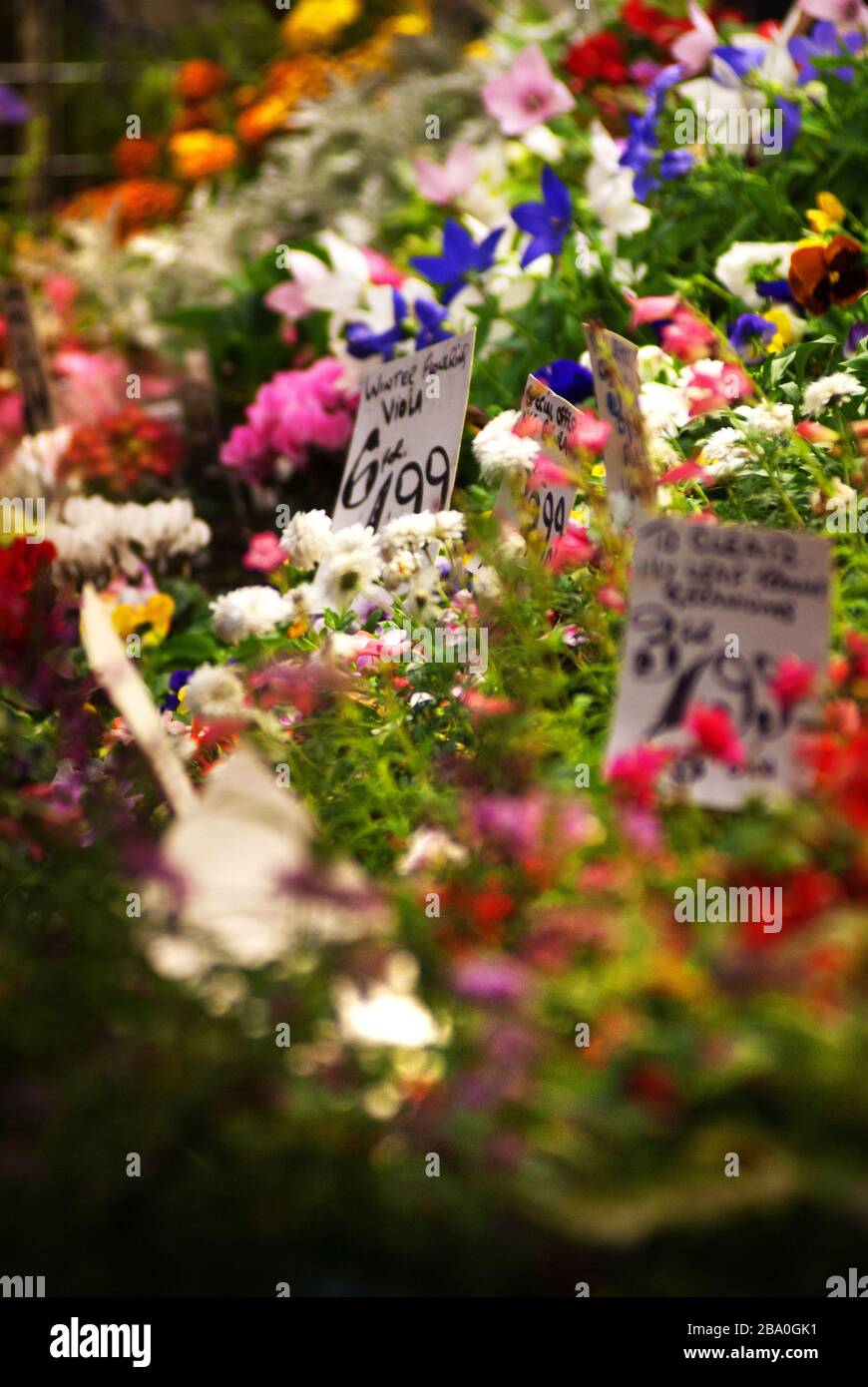 Darlington market hall hi-res stock photography and images - Alamy
