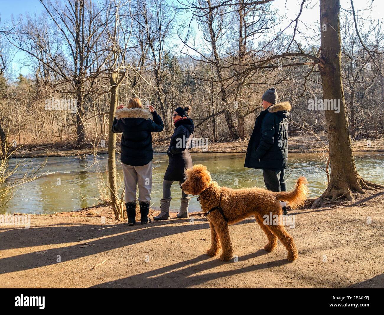 TORONTO, ONTARIO, CANADA - MARCH 23, 2020: FAMILY OUTSIDE AT PARK WITH ...