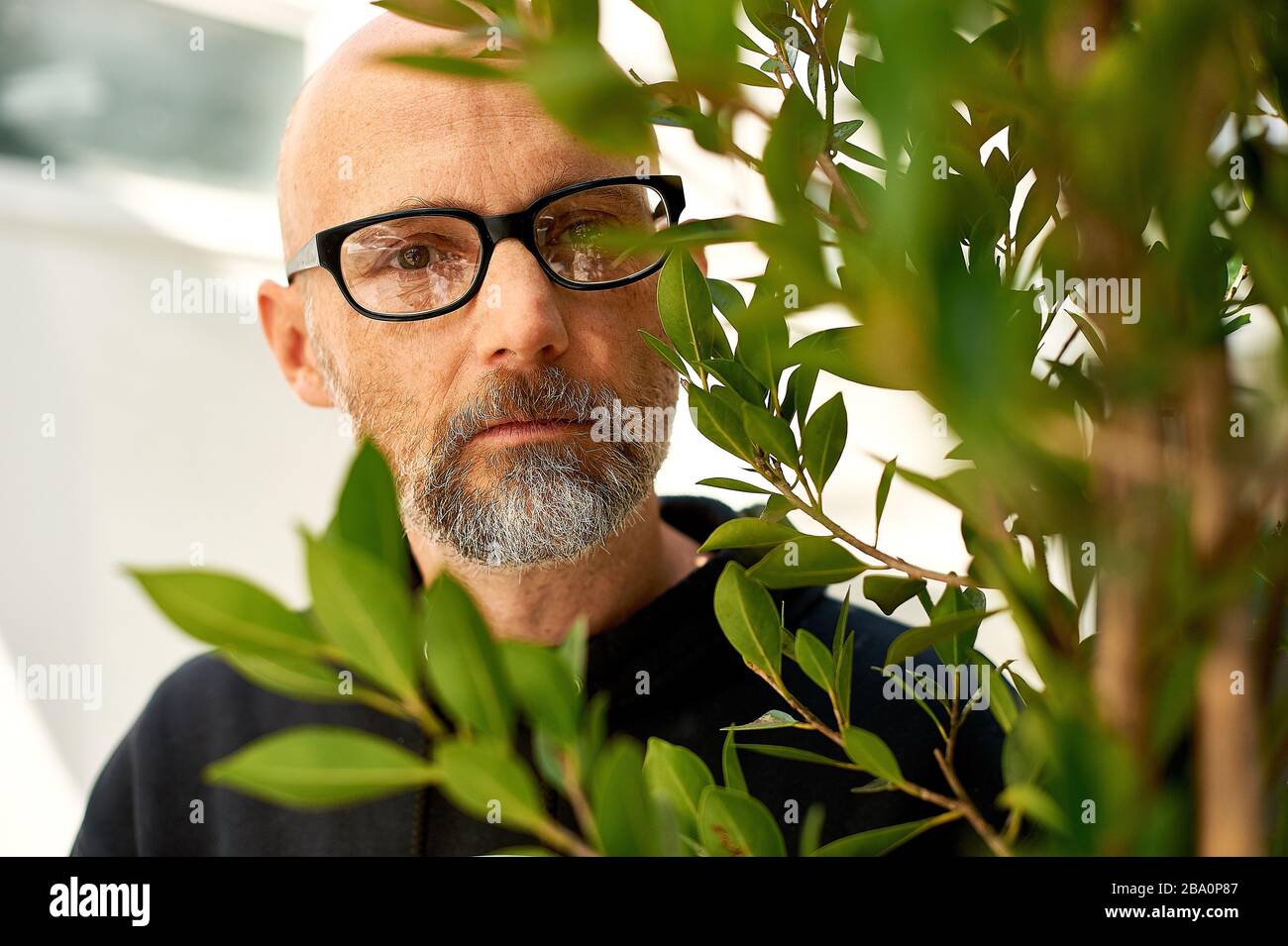Musical Artist, producer, and animal rights activist, Moby at his ...