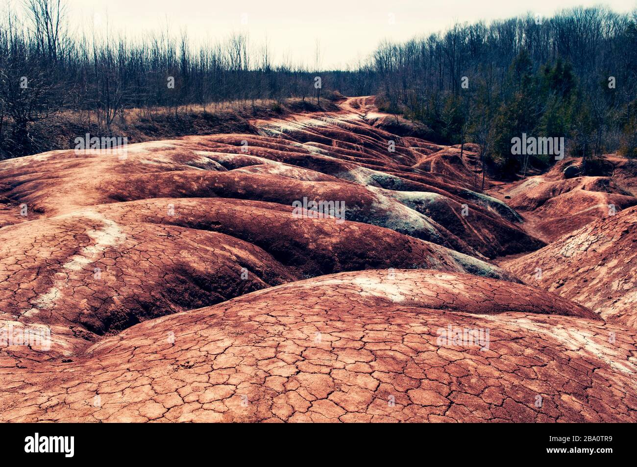 Caledon hi-res stock photography and images - Alamy