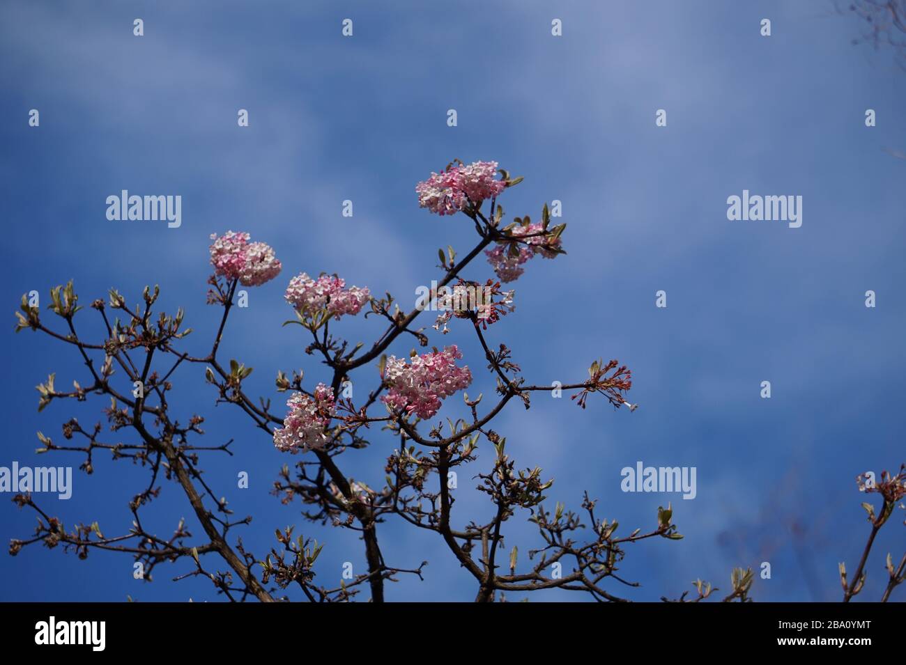 Spring is around the corner hi-res stock photography and images - Alamy