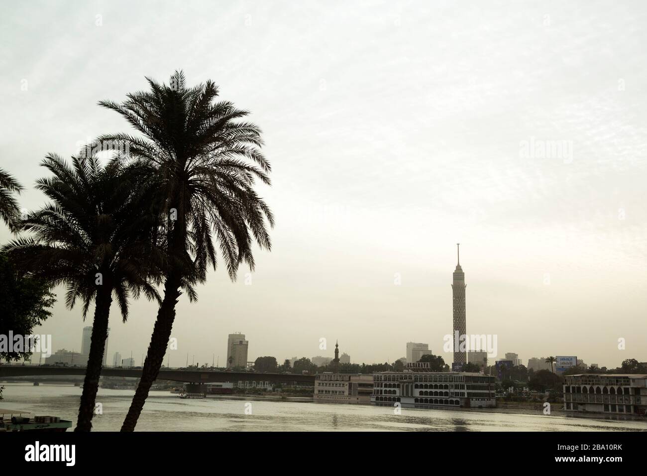 Palm trees by the River Nile in Cairo, Egypt. The Cairo Tower, known as ...