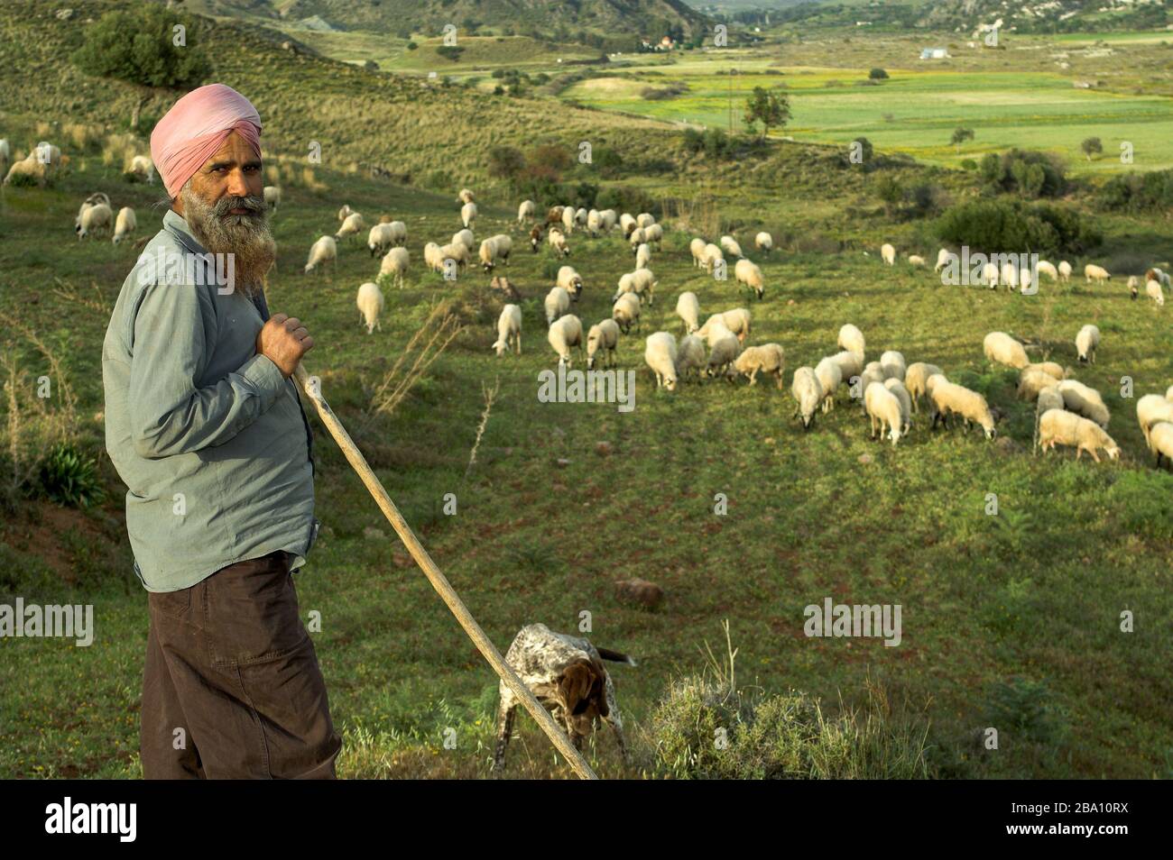 Shepherd staff hi-res stock photography and images - Alamy