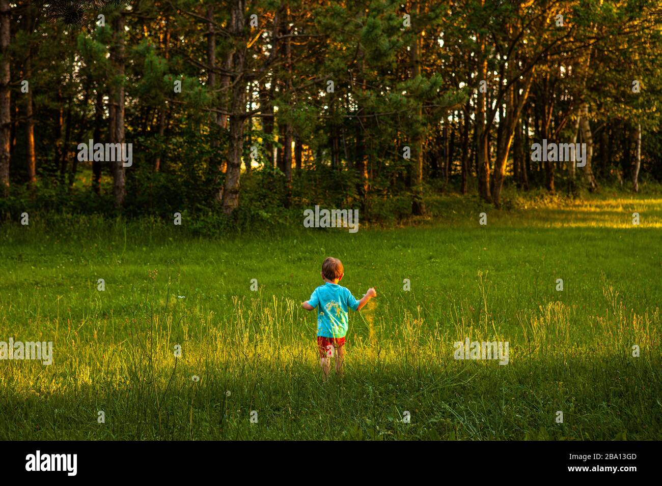 Children exploring trees hi-res stock photography and images - Alamy