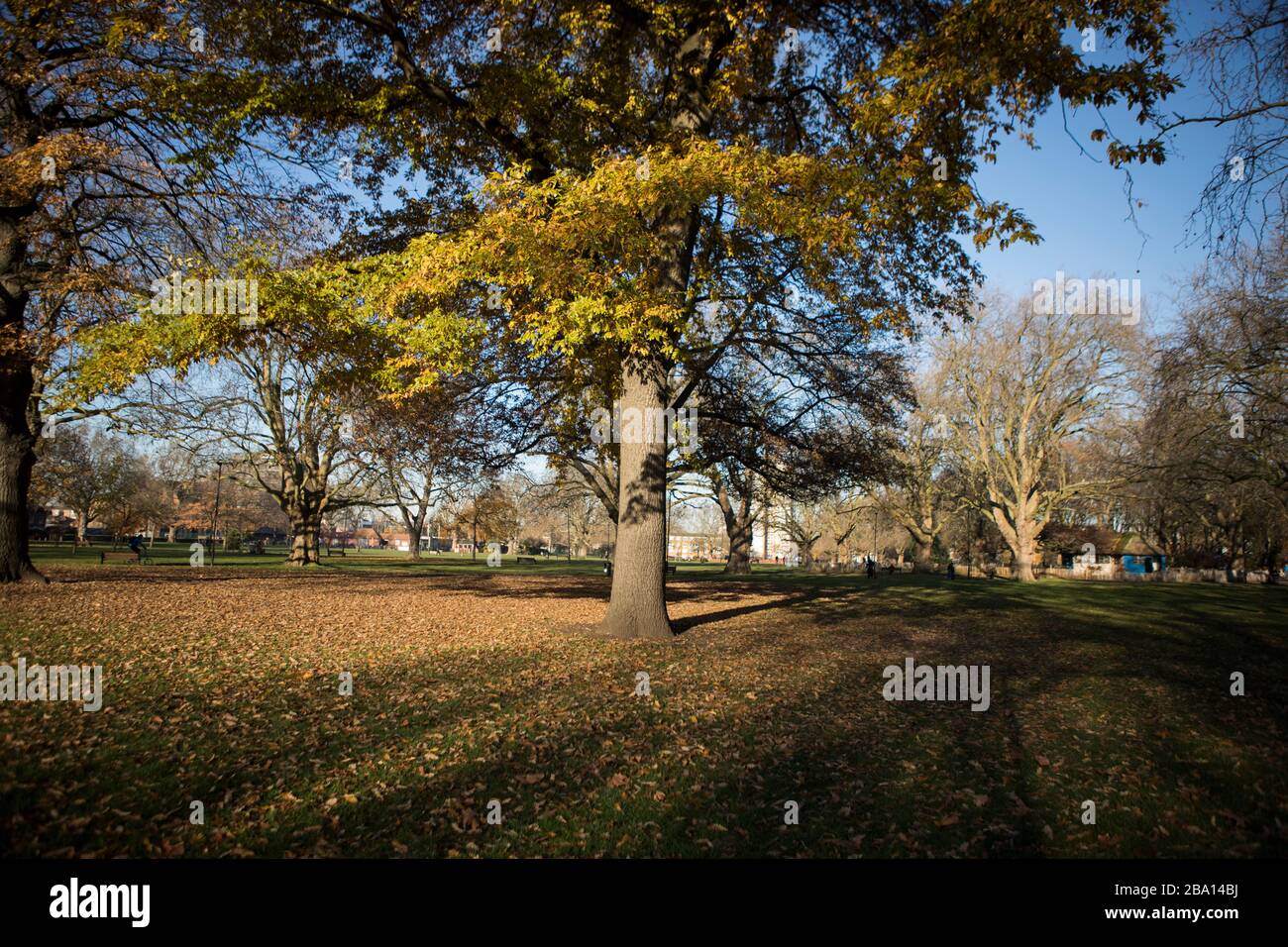 London Fields park in London Stock Photo - Alamy