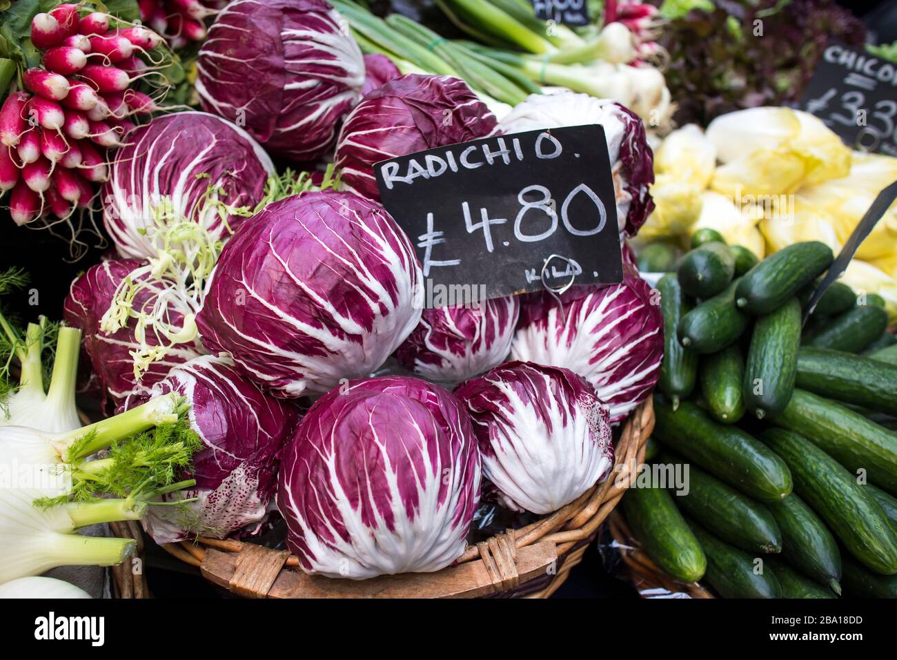 Radicchio rosso di Treviso, commonly known as Treviso has elongated ...