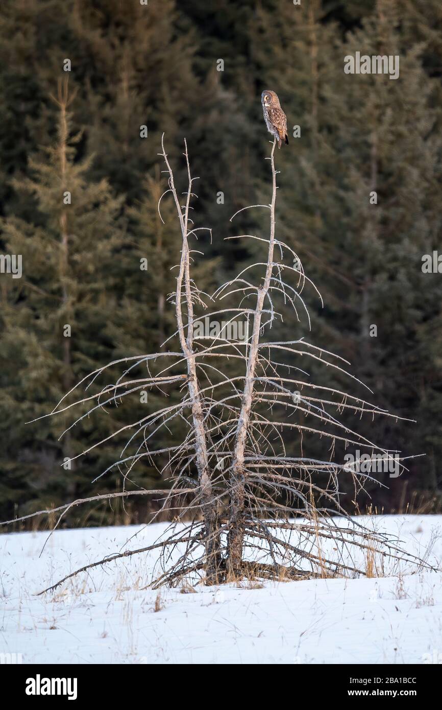 From a far hi-res stock photography and images - Alamy