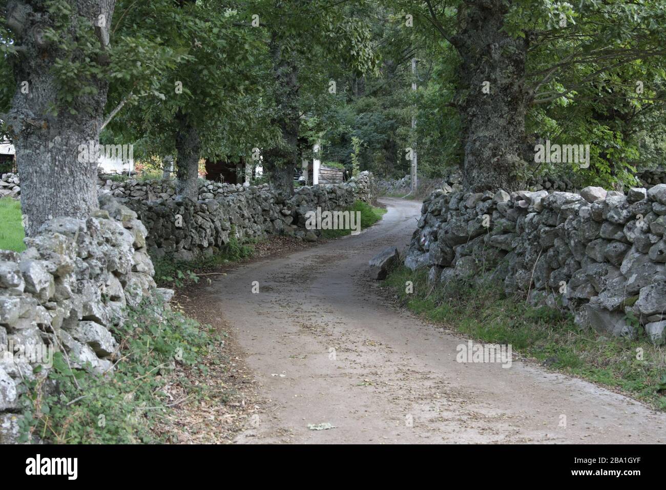 Stone shells hi-res stock photography and images - Alamy