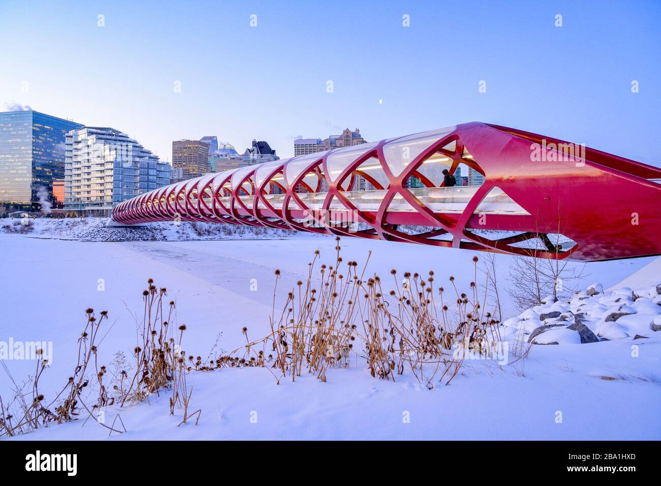 Peace Bridge, Bow River, Calgary, Alberta, Canada Stock Photo - Alamy