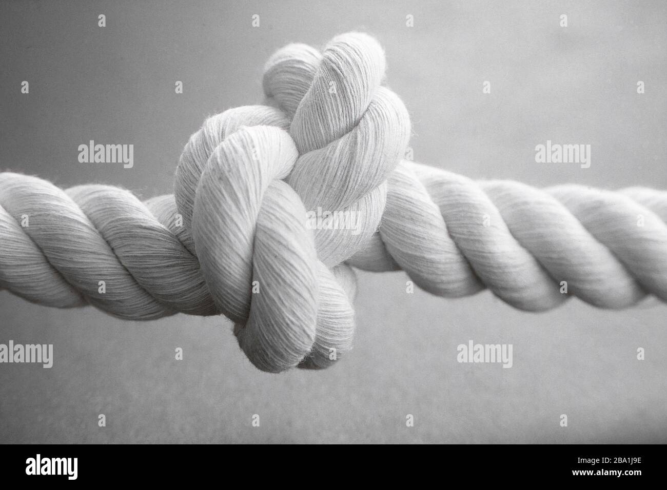 A knotted white rope Stock Photo - Alamy