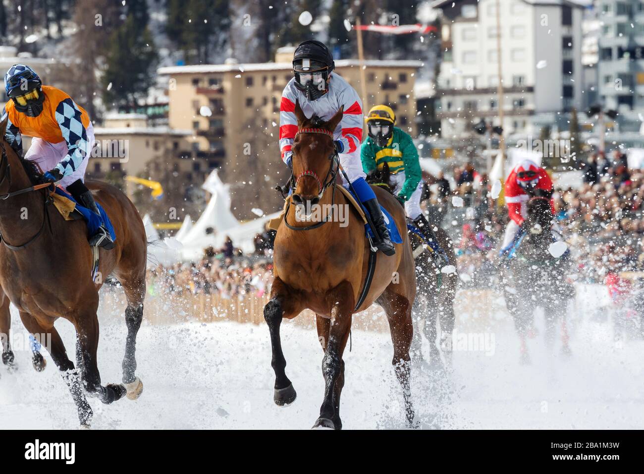 White Turf race - Engadine - Switzerland Stock Photo - Alamy