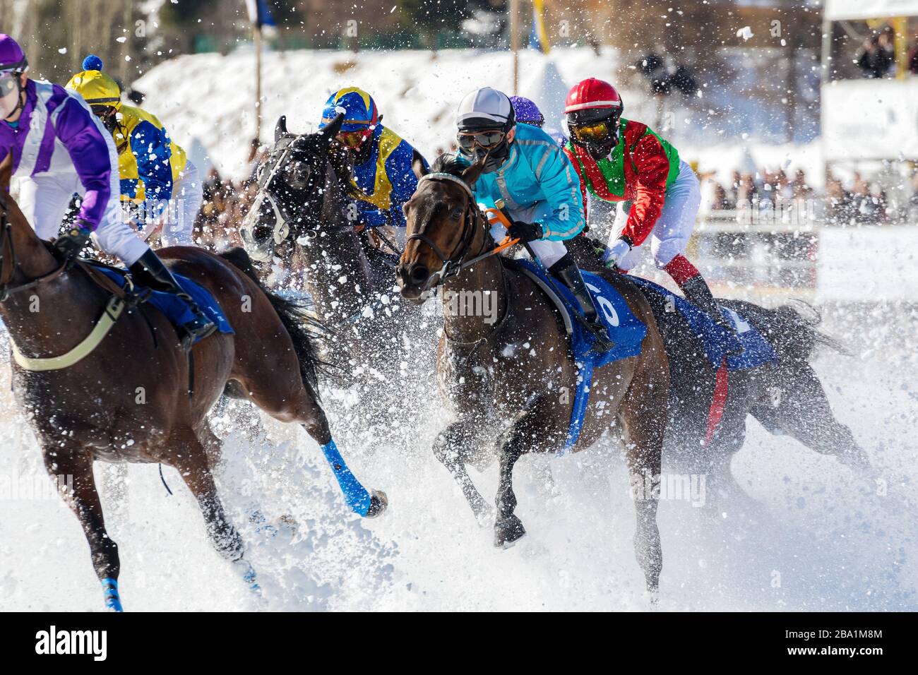 White turf race hi-res stock photography and images - Alamy