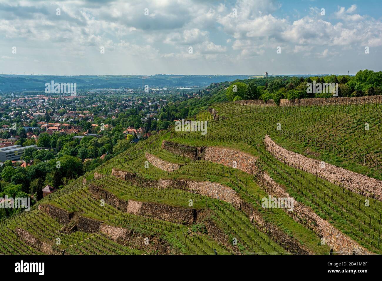 Vineyard radebeul hi-res stock photography and images - Alamy