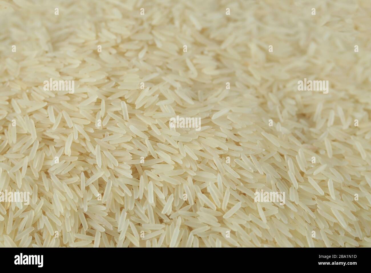 Dry and fresh asian rice stock isolated Stock Photo - Alamy