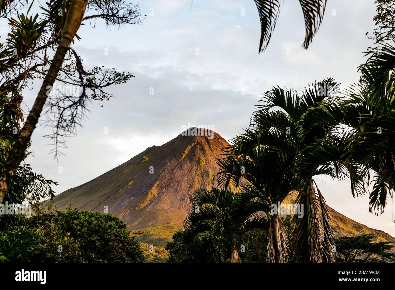 Nature in Costa Rica Stock Photo - Alamy