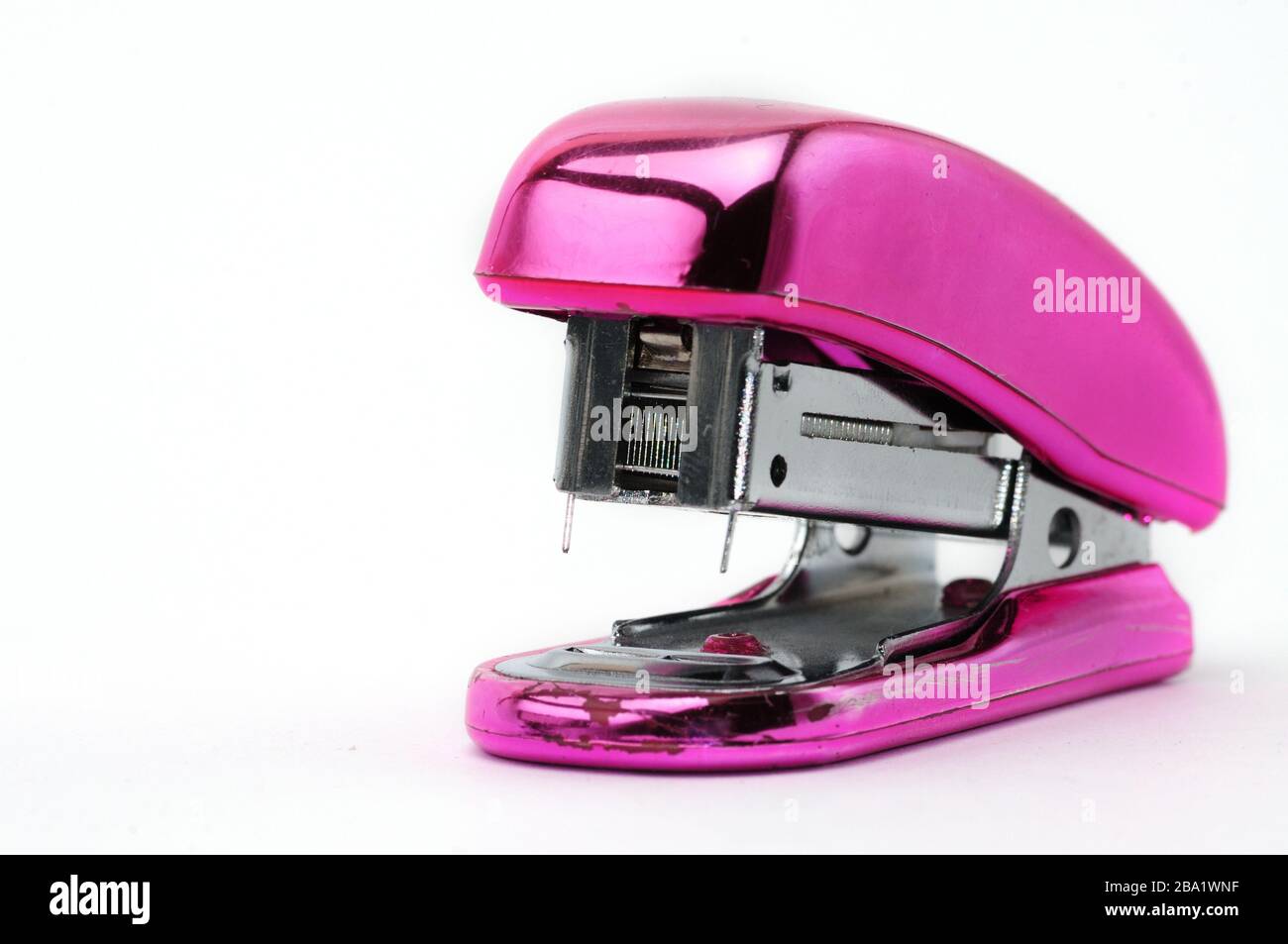 Pink office stapler on an isolated white background Stock Photo - Alamy