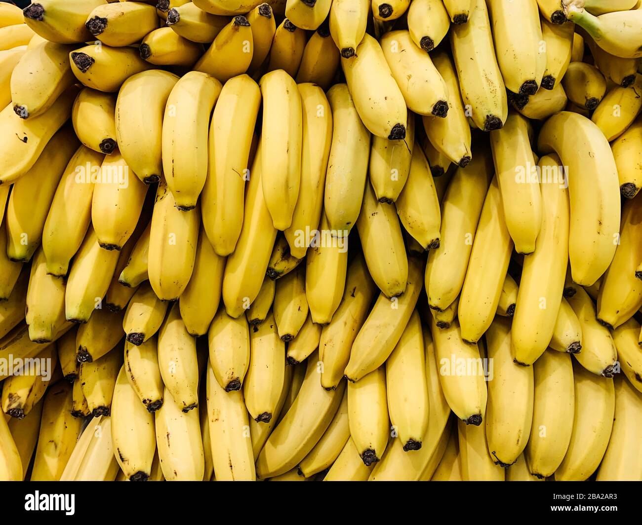 lots of delicious ripe yellow sweet bananas for eating a background ...