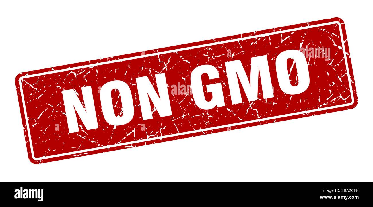 non gmo stamp. non gmo vintage red label. Sign Stock Vector Image & Art ...