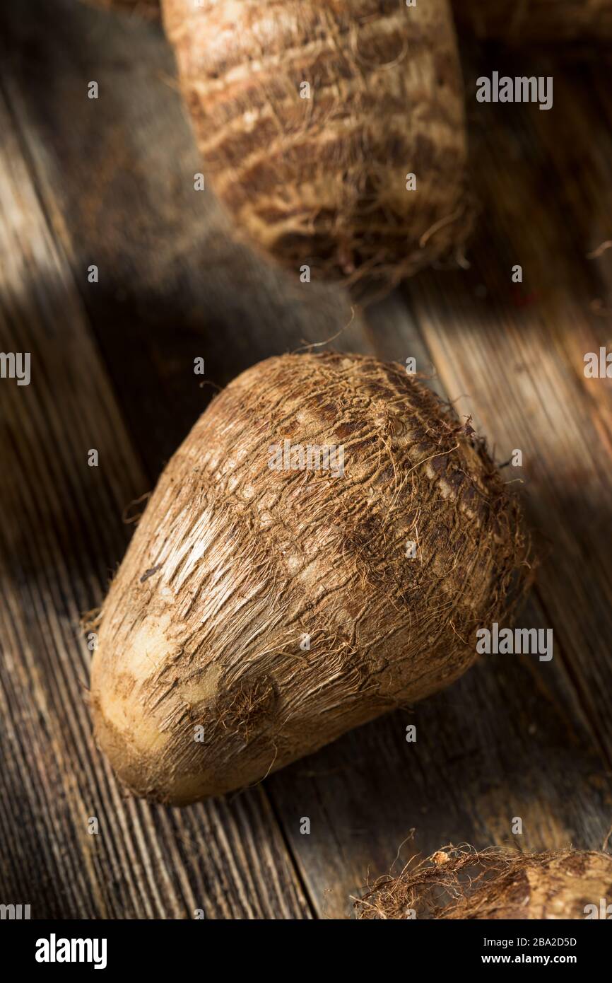 Raw Organic Brown Taro Root Ready to Cook Stock Photo - Alamy