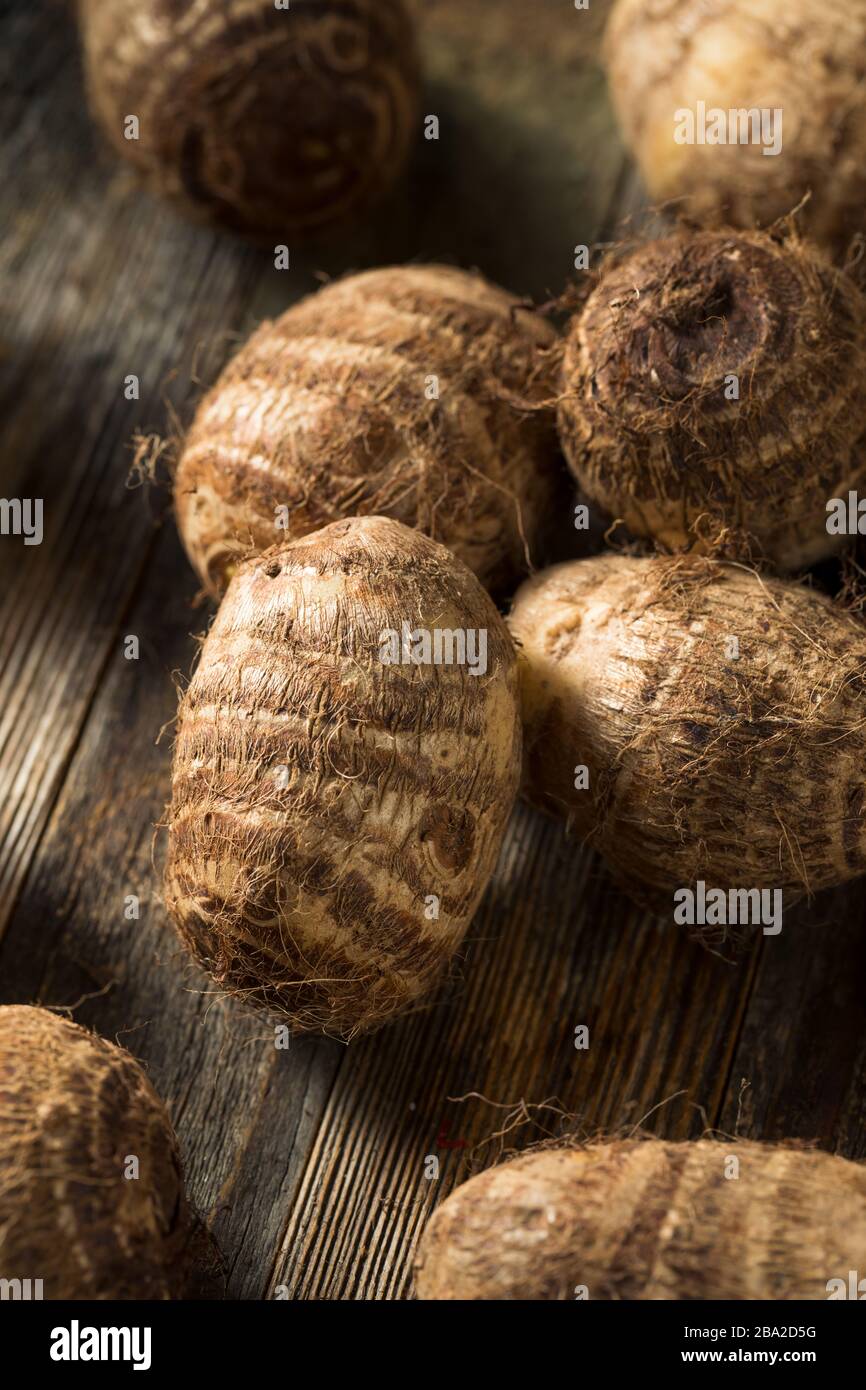 Raw Organic Brown Taro Root Ready to Cook Stock Photo - Alamy