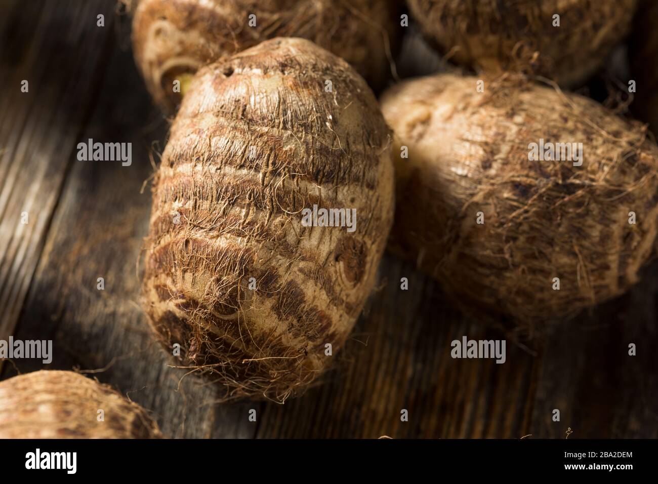 Raw Organic Brown Taro Root Ready to Cook Stock Photo - Alamy