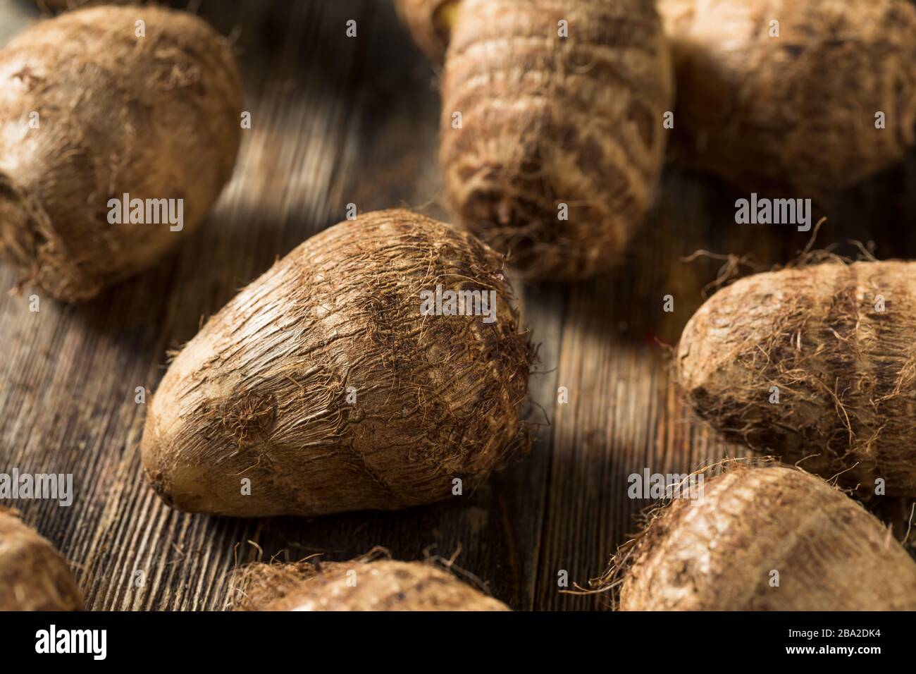 Raw Organic Brown Taro Root Ready to Cook Stock Photo - Alamy