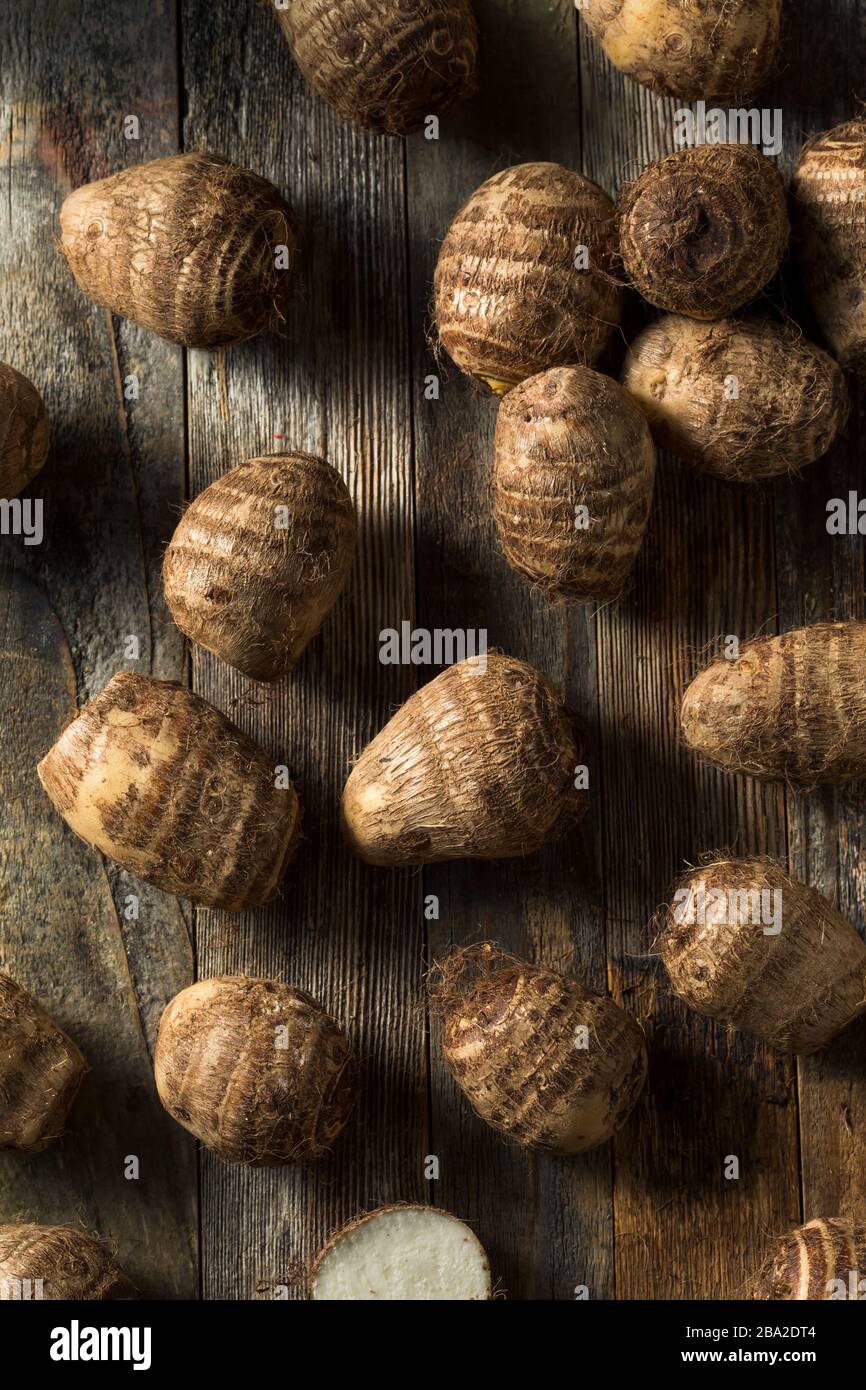 Raw Organic Brown Taro Root Ready to Cook Stock Photo - Alamy