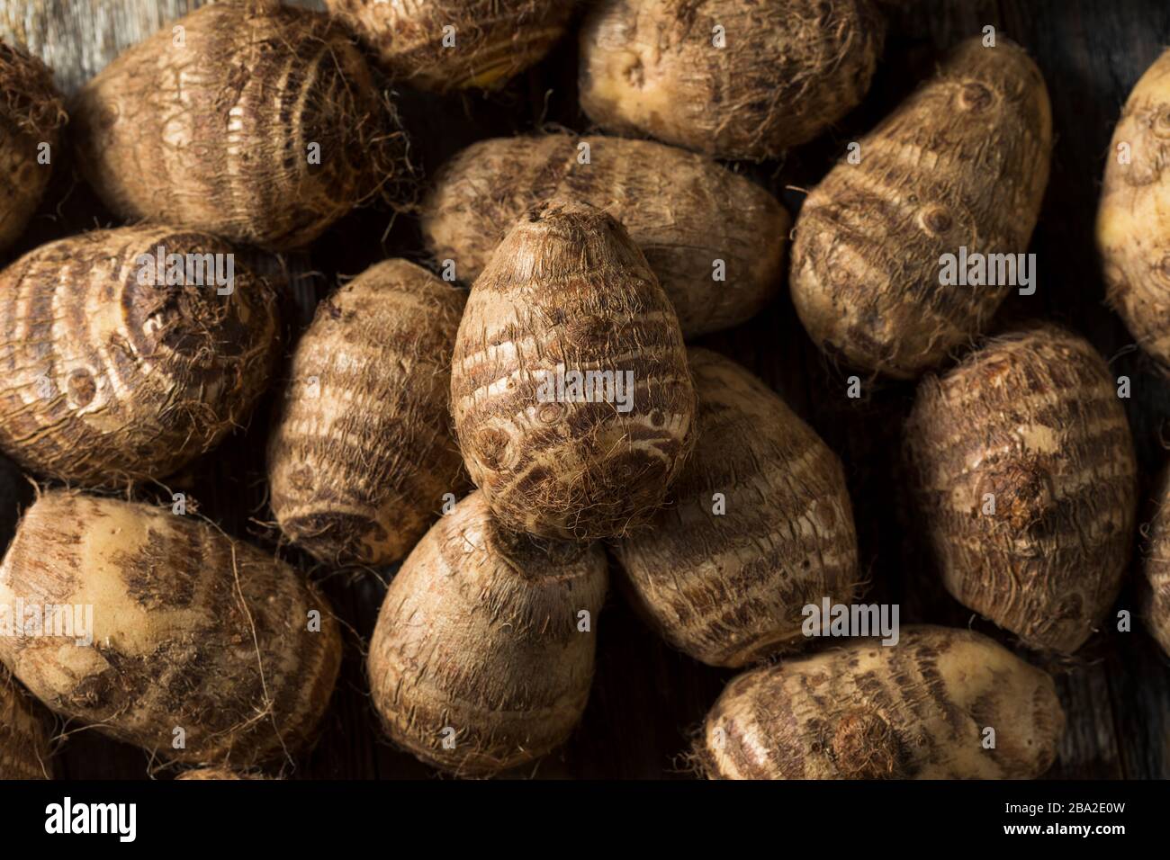 Raw Organic Brown Taro Root Ready to Cook Stock Photo - Alamy