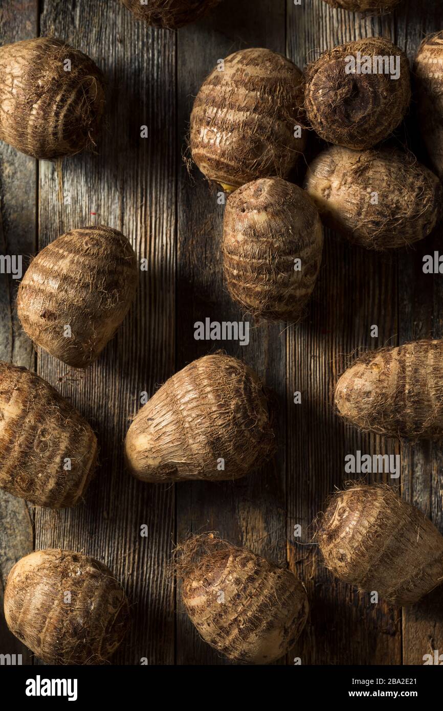 Raw Organic Brown Taro Root Ready to Cook Stock Photo - Alamy