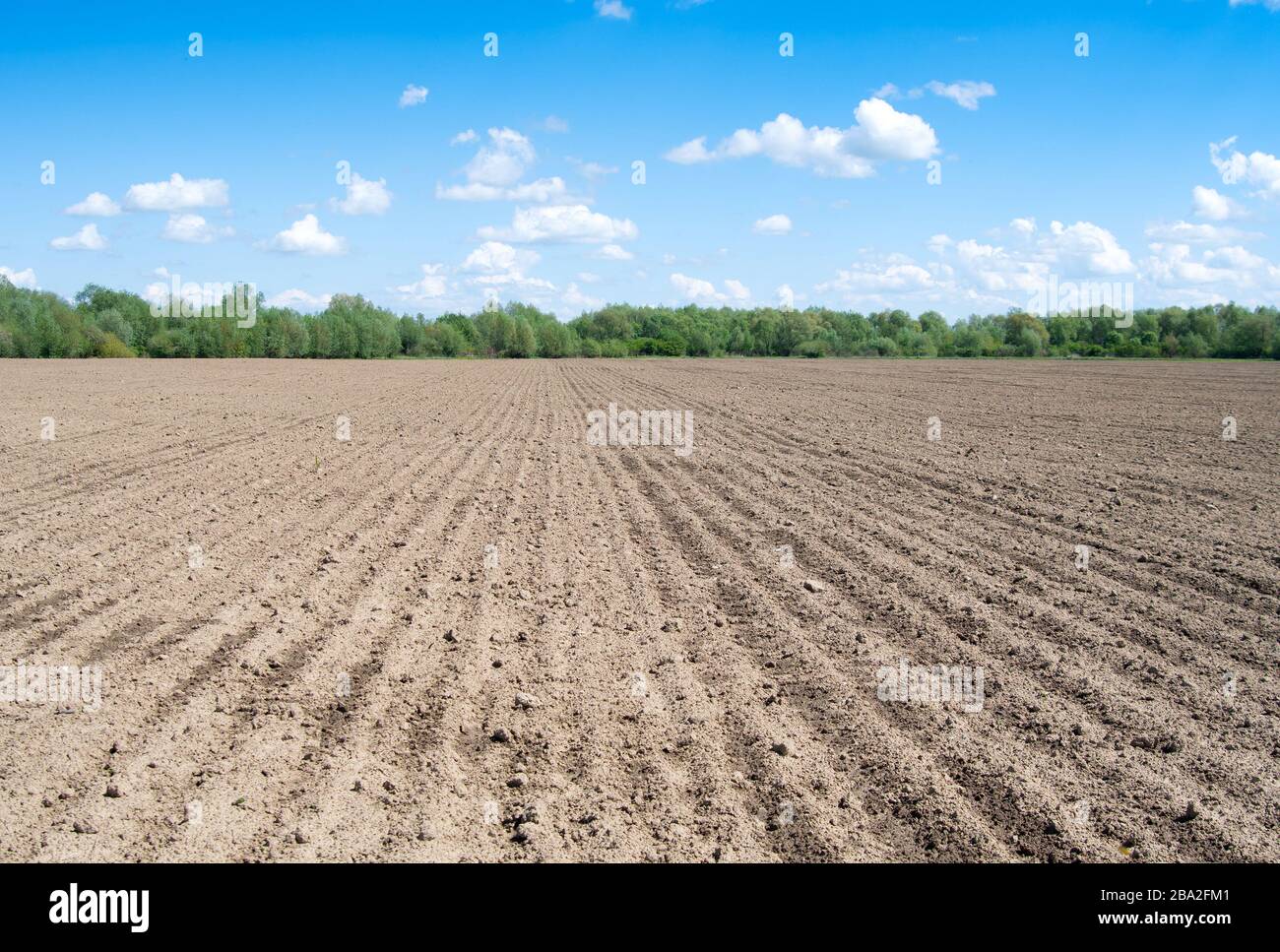 Spring farming and farming hi-res stock photography and images - Alamy