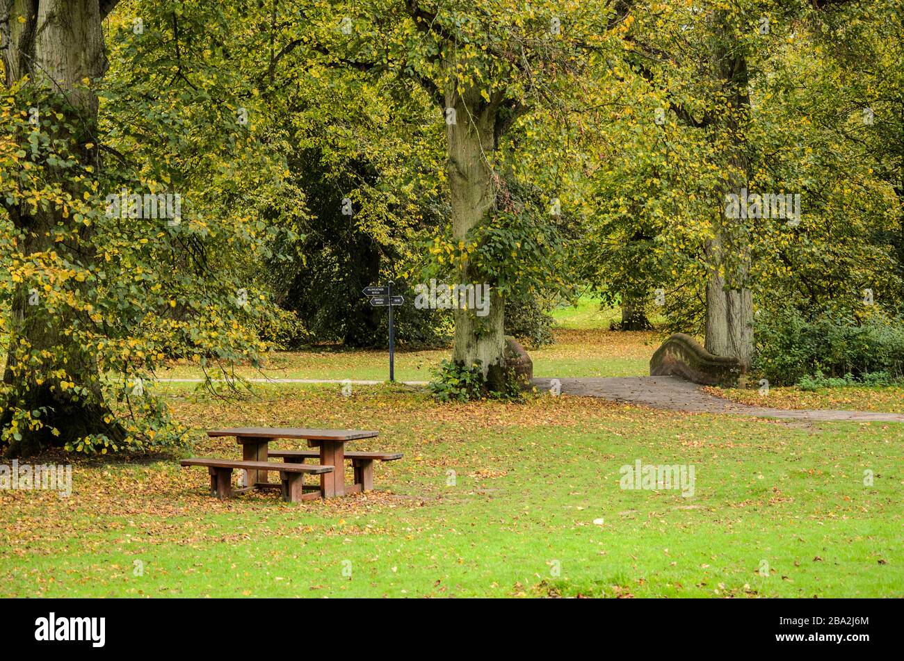 Empty park view in hi-res stock photography and images - Alamy