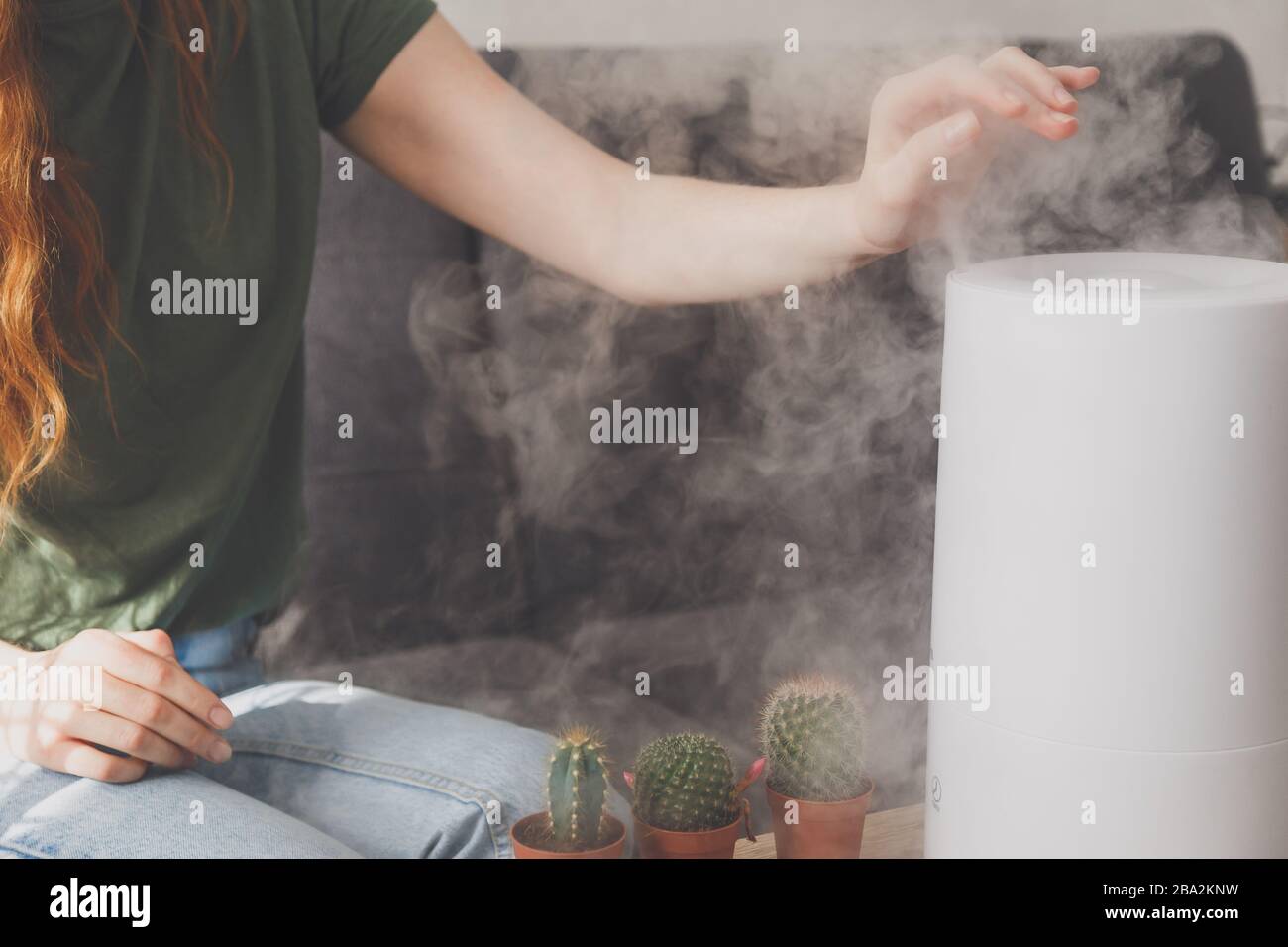 Healthy air. The humidifier distributes steam in the living room. Woman ...