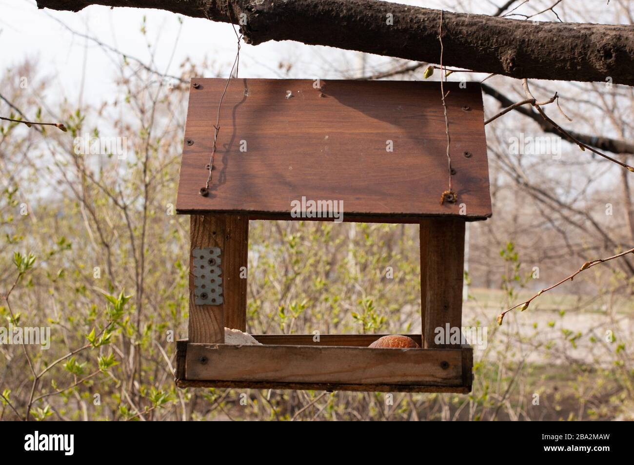 Small house for birds - a starling house fixed on an tree Stock Photo ...