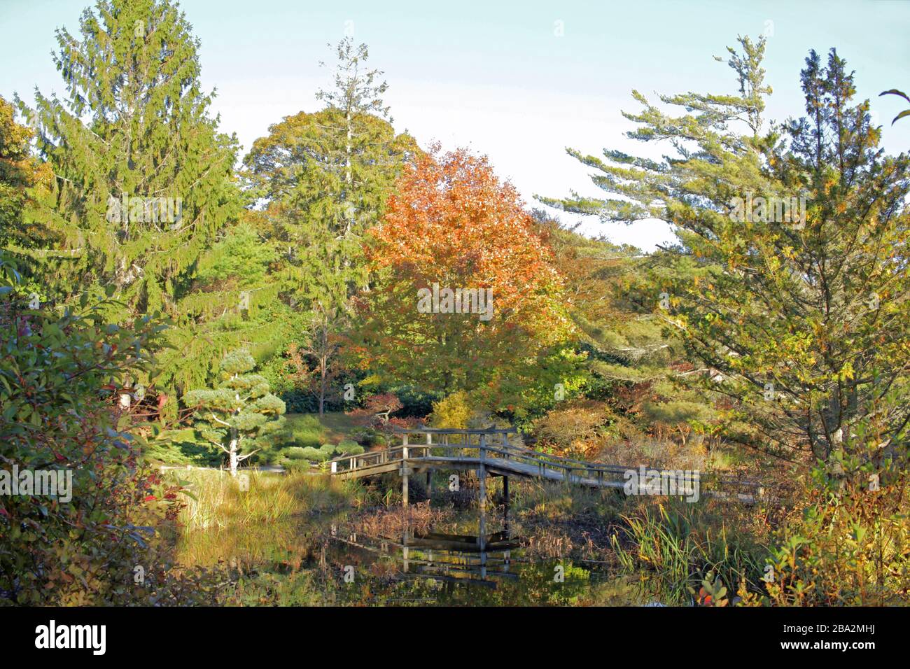 Mytoi Japanese-style gardens, Chappaquiddick, Martha’s Vineyard ...