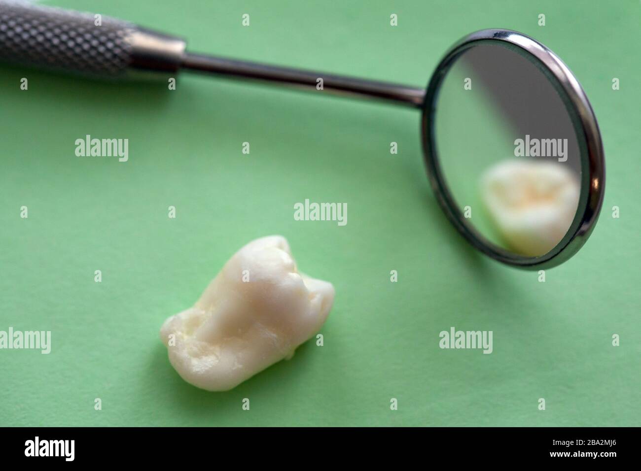 Real Human Wisdom tooth and Dental Mirror Stock Photo - Alamy