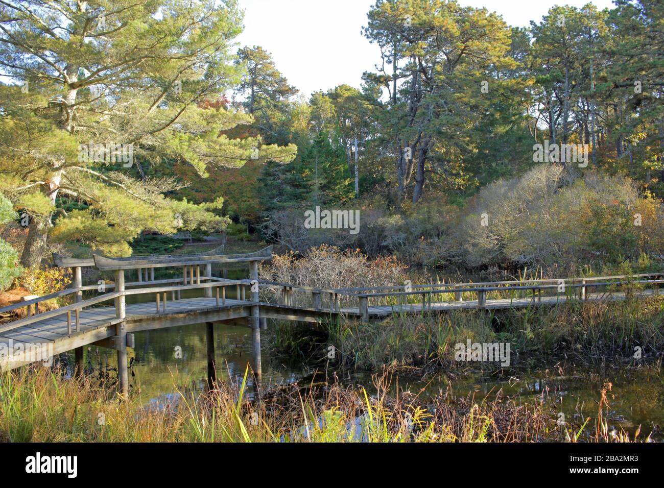 Martha's vineyard massachusetts mytoi hi-res stock photography and ...