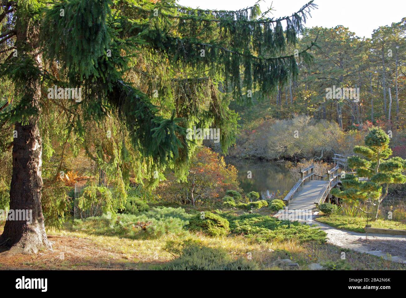 Mytoi Japanese-style gardens, Chappaquiddick, Martha’s Vineyard ...
