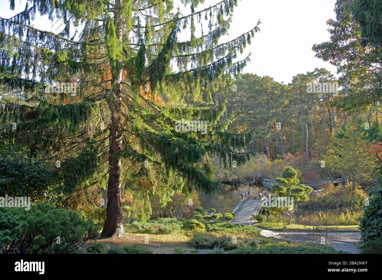 Martha's vineyard mytoi gardens hi-res stock photography and images - Alamy