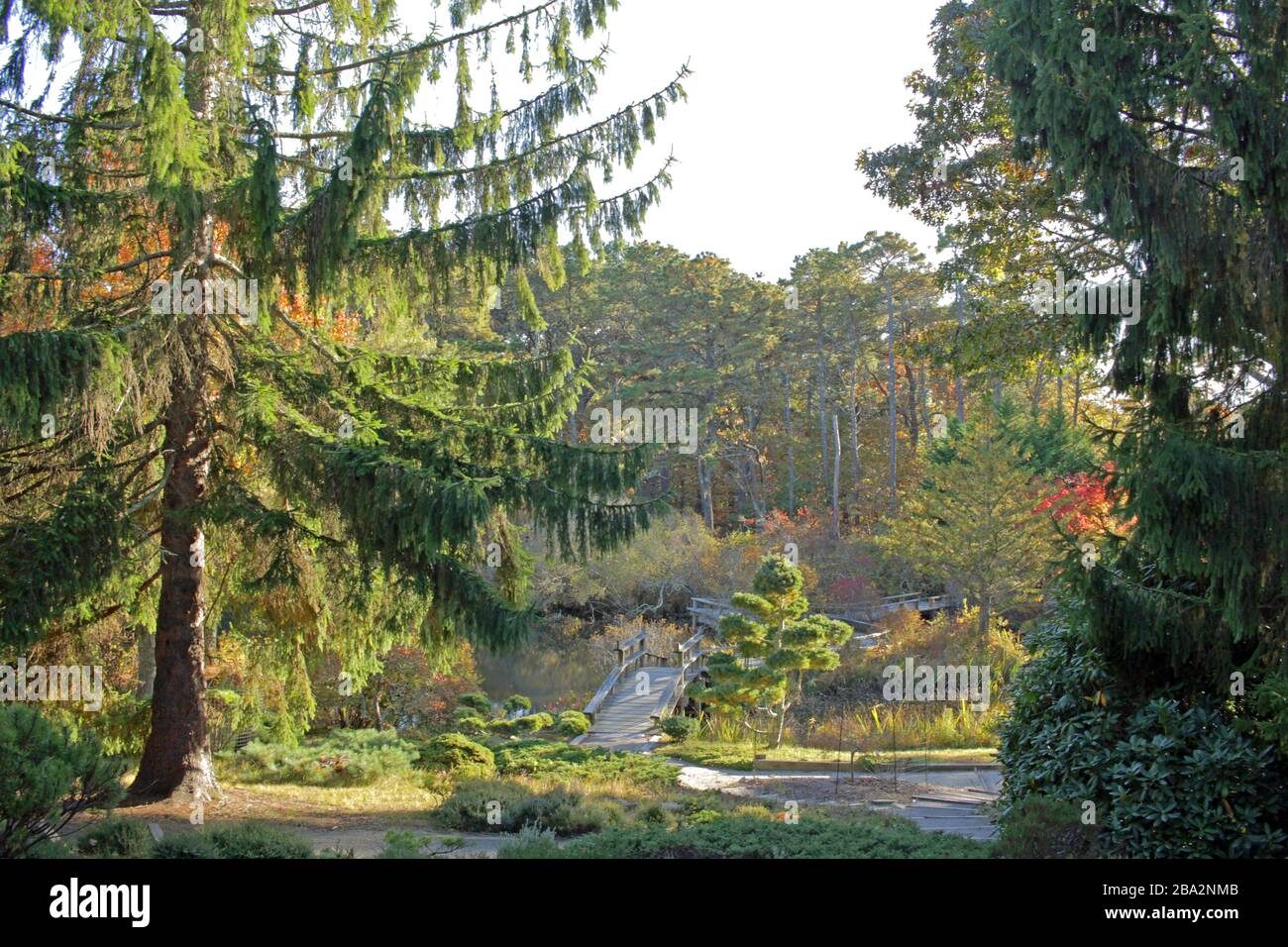 Mytoi Japanese-style gardens, Chappaquiddick, Martha’s Vineyard ...