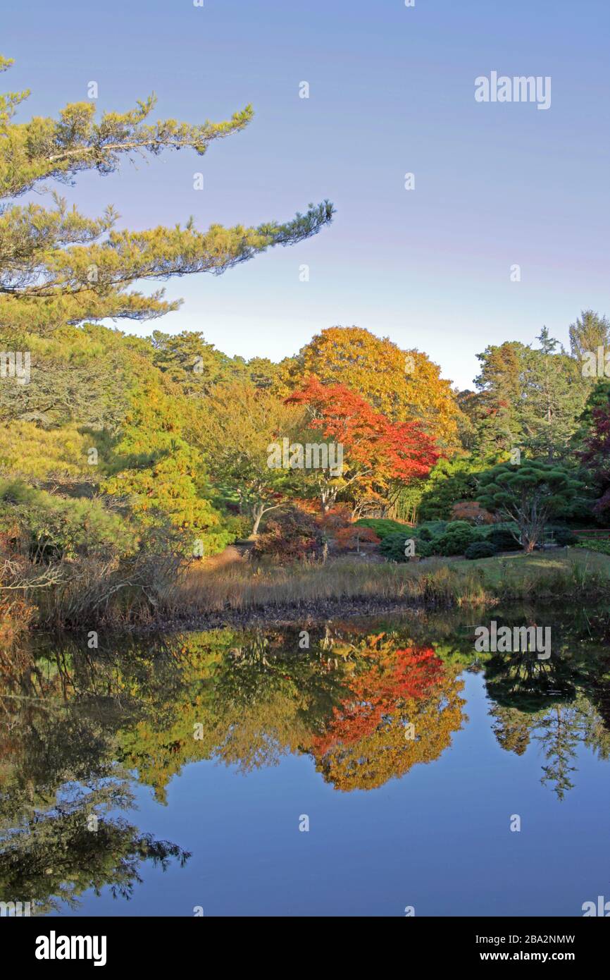 Martha's vineyard mytoi gardens hi-res stock photography and images - Alamy