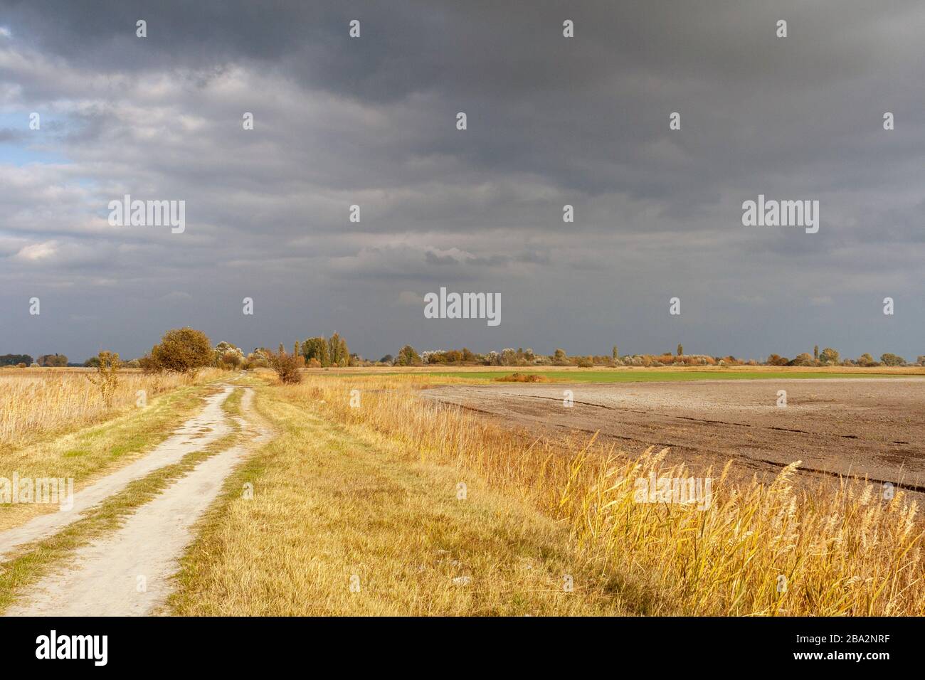Alfold steppe hi-res stock photography and images - Alamy