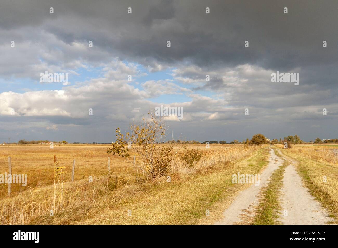 Great hungarian plain hi-res stock photography and images - Alamy