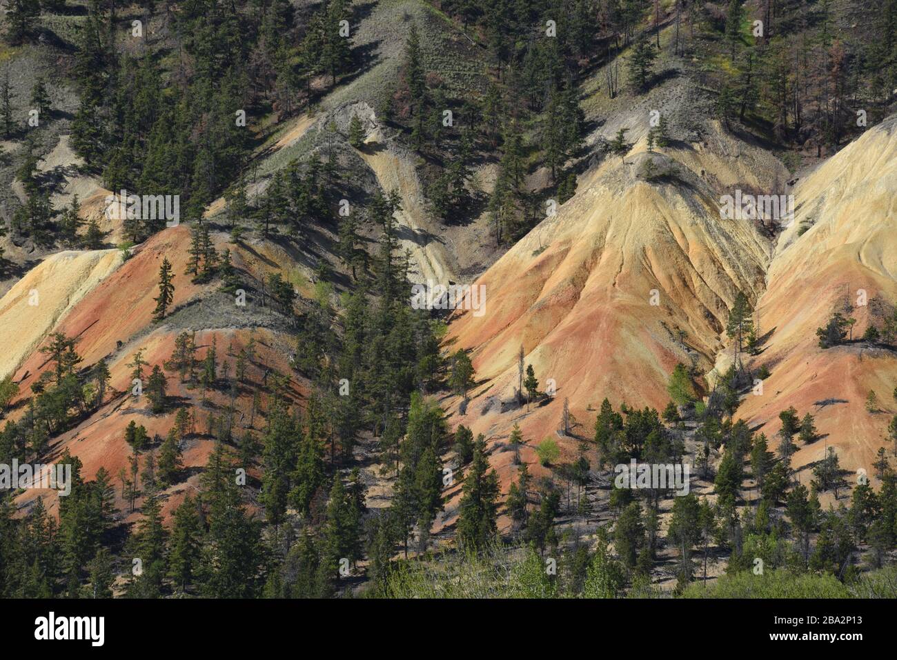 Trees grow among the orange and brown sand that colours an eroding ...