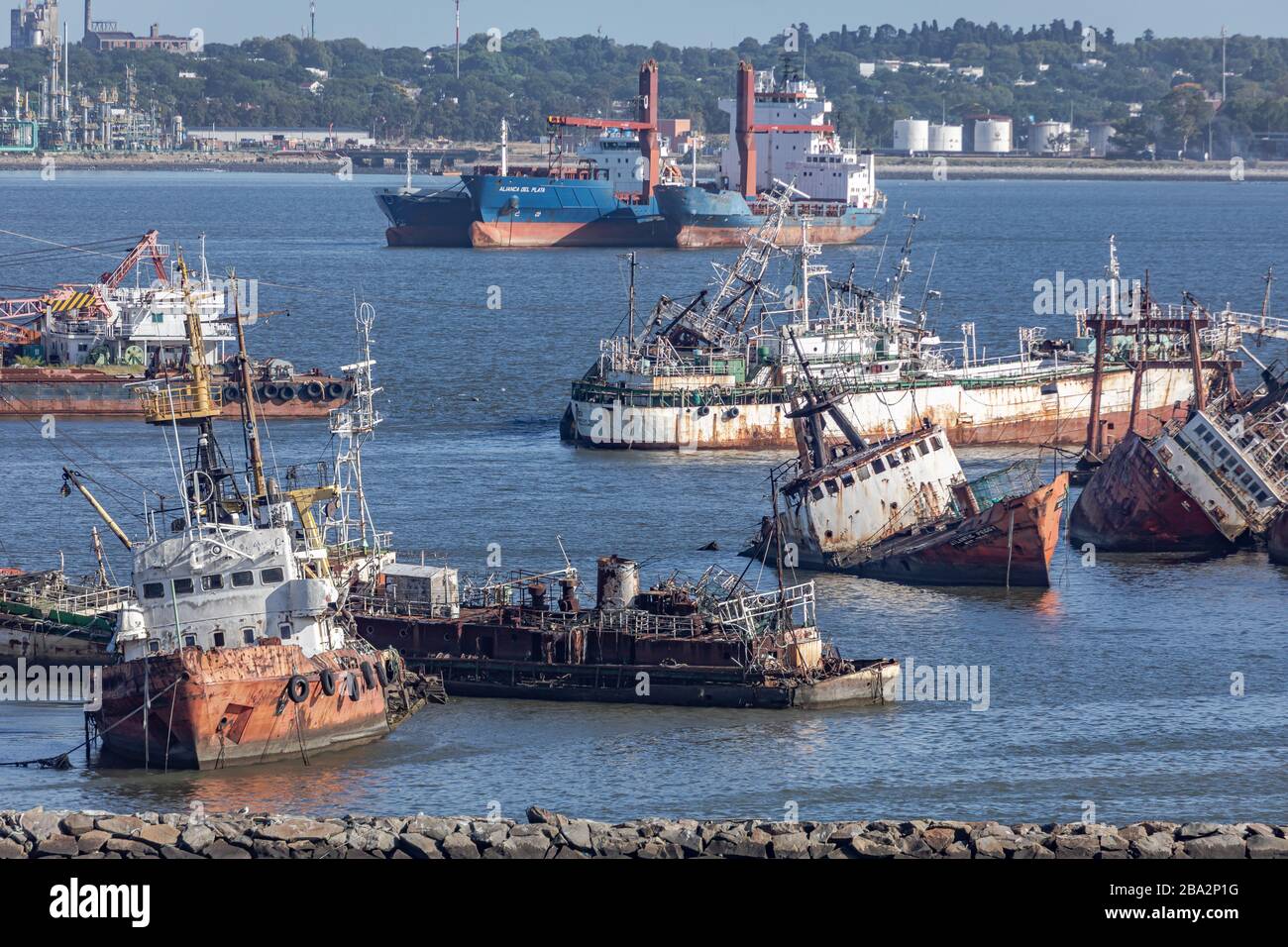 Sargasso Sea Ship Graveyard